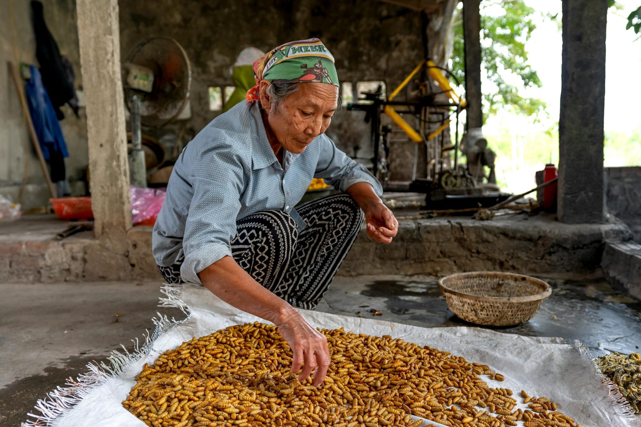 Primitive Subsistence Farming: 5 Powerful Insights into Primitive ...