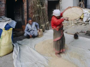 Primitive Subsistence Farming: 5 Powerful Insights into Primitive ...